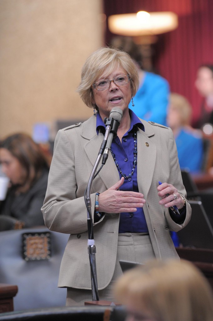 Five questions with Rep. Anne Zerr, R-St. Charles - The Missouri Times