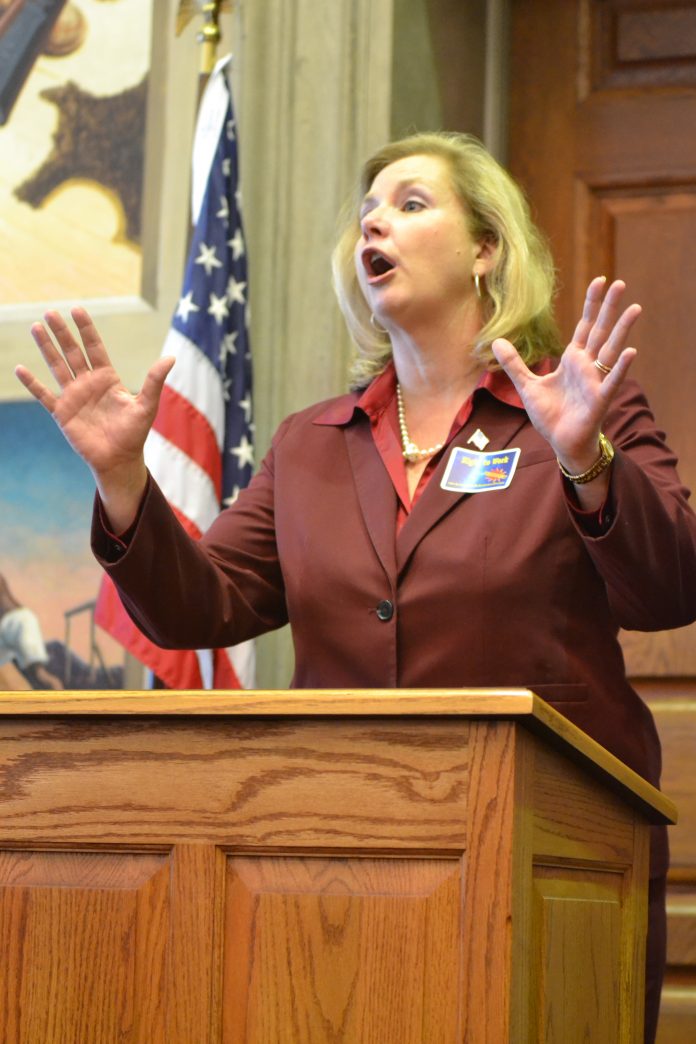 Catherine Hanaway: Missouri's Red State Architect - The Missouri Times