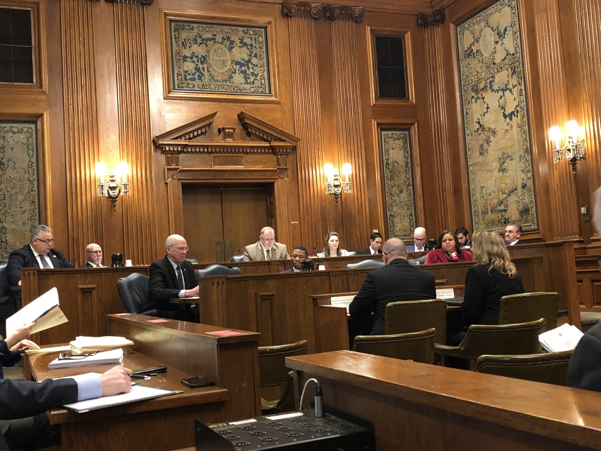 Senate committee approves several interim gubernatorial appointments ...
