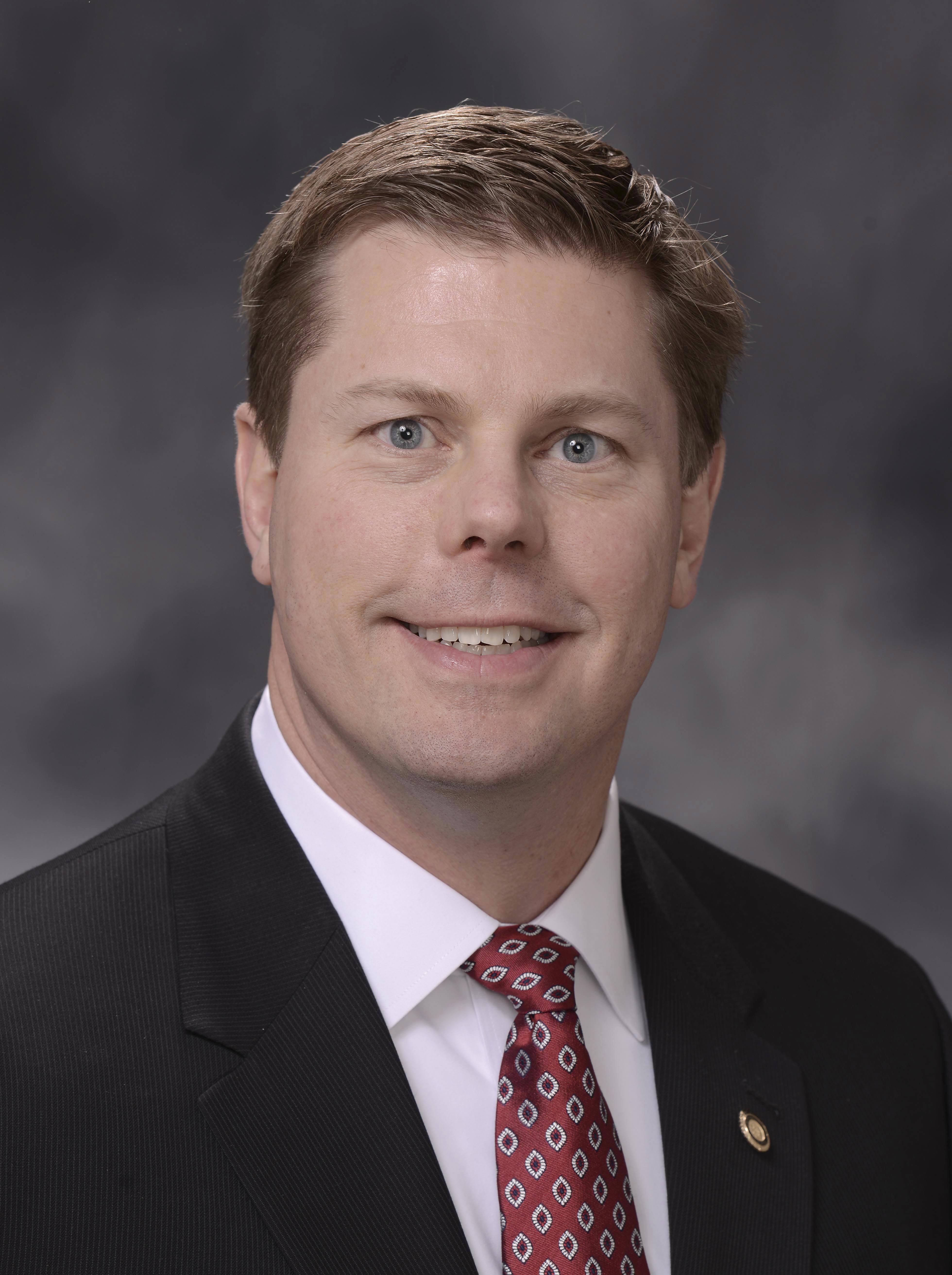 Lawmakers push for a local vote on St. Louis City-County merger - The ...