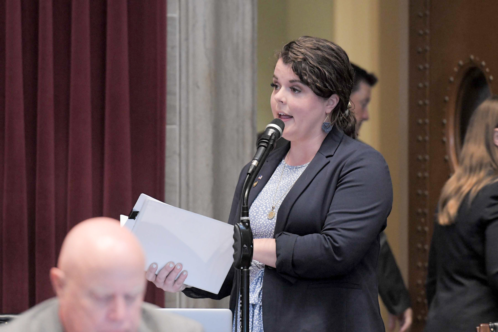 Hannah Kelly launches bid for House majority floor leader - The ...