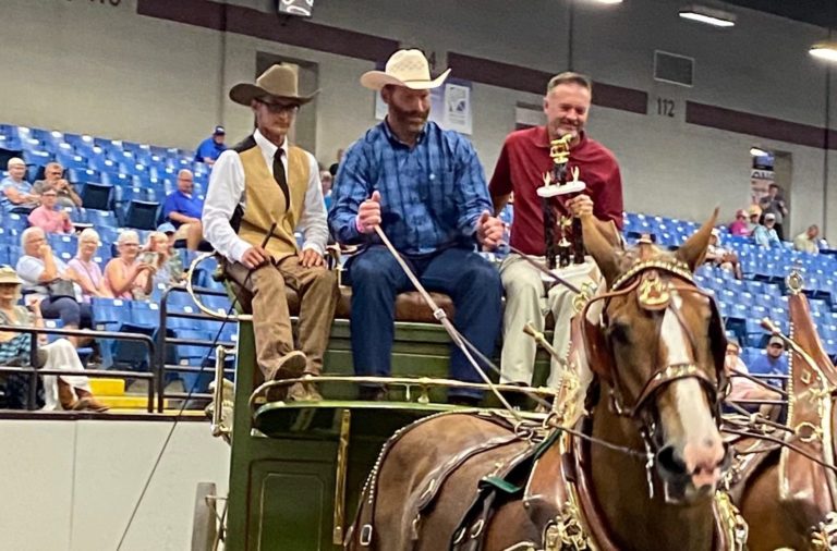 Kurtis Gregory trots away with State Fair prize - The Missouri Times