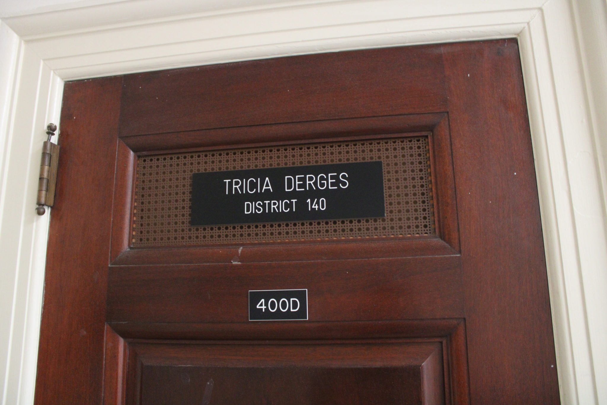 Not backing down: Inside Rep. Tricia Derges' fight for her constituents ...